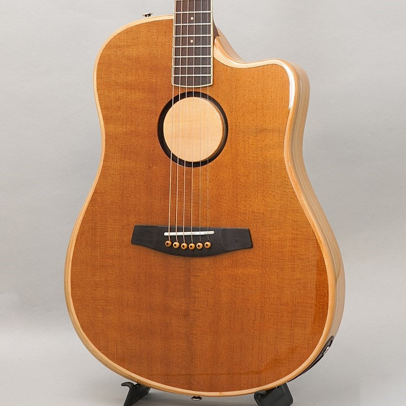 AEG-1 TOR LR Bags by L.R.Baggs – Ikebe Musical Instruments Store